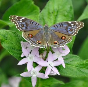 Musées et espaces culturels de La Réunion - Habiter La Réunion