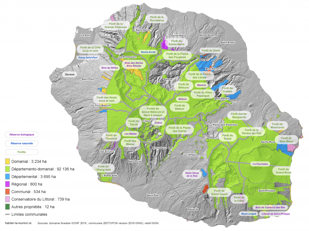 Forêts de La Réunion - Habiter La Réunion